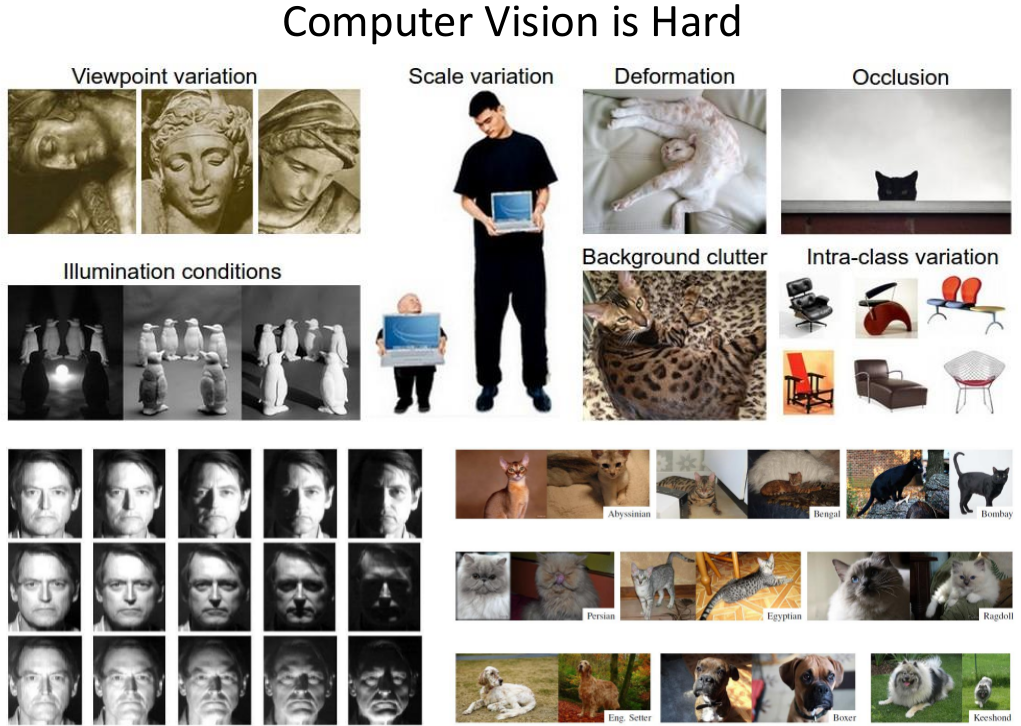 Lecture 3 Convolutional Neural Networks For End To End Learning Of The
